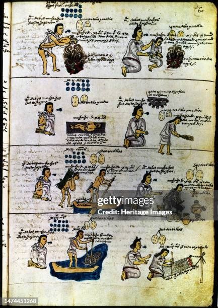 Aztec Education
