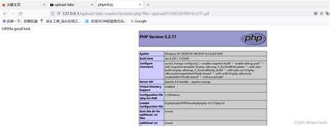 第22天 Web 漏洞 文件上传之内容逻辑数组绕过iis 上传 解析 Panfei806 Apache 上传 解析 Vulhub Nginx 上传 Csdn博客