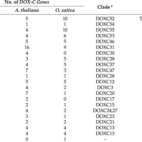 Chromosome Distribution And Tandem Duplication Events For Cs2odd−c