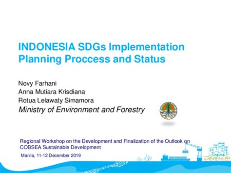 pdf indonesia sdgs implementation planning processes and status