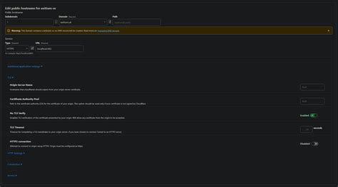 SSL Nginx CF Tunnel Cloudflare Developers
