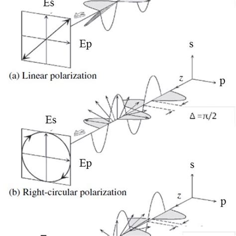Illustration Of Polarization Planes Of Light And Elliptical Download Scientific Diagram