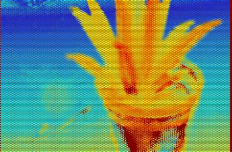 datasets full parallax imaging