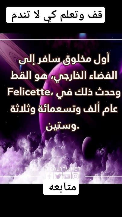 قف وتعلم كي لا تندم هل تعلم مفيده و قصيره Youtube