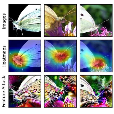 Examples Of Visualizations Used To Annotate Important Neural Features