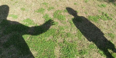 Czech Republic Moves To Create Sex Offender Registry Prague Czech Republic