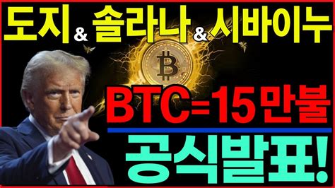 시바이누 코인 도지 솔라나 비트코인 불장 확정 마지막 기회 최대한 빨리 시청하세요 완벽 준비시켜드립니다 비트코인 시바이누코인 도지코인 솔라나 Youtube