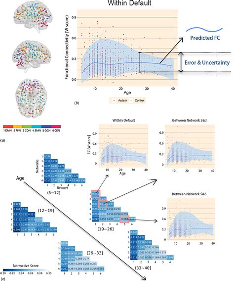 Age Atypical Brain Functional Networks In Autism Spectrum Disorder A