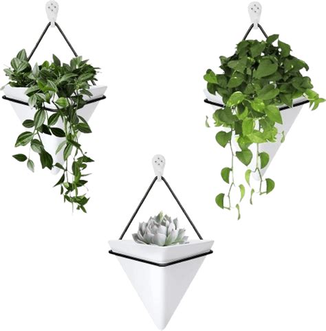 Best Indoor Hanging Planters To Elevate Your Home Decor Tools Topics