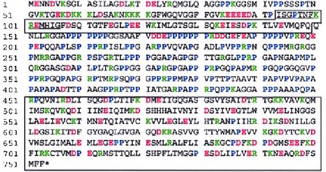 Deduced Protein Sequence Of Mihck The C Terminal Catalytic Domain And