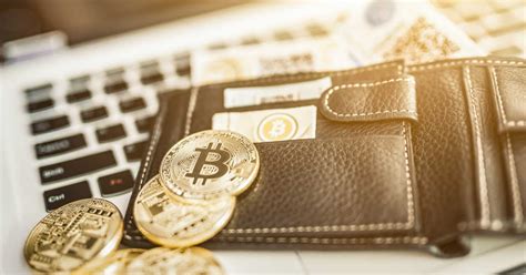 The 7 Most Secure And Reliable Crypto Wallets Wallet Altcoin Buzz