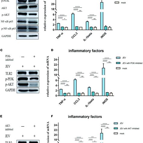 Prm Validation Of The Proteomics Download Scientific Diagram