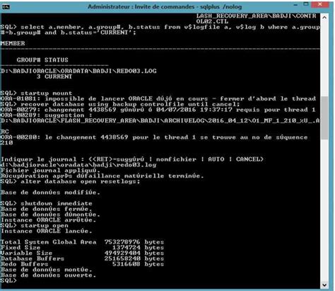 Base De Données Oracle 11gr2 Inaccessible Erreur Ora 00600 Kcratrnablessthanodr