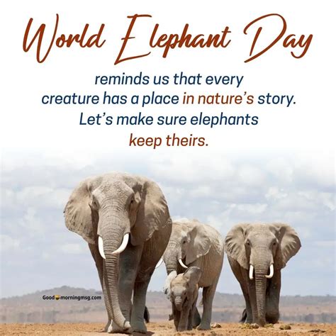 12 Aug World Elephant Day Quotes And Poster