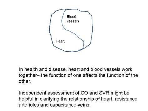 Cardiac Output CO And Systemic Vascular Resistance SVR