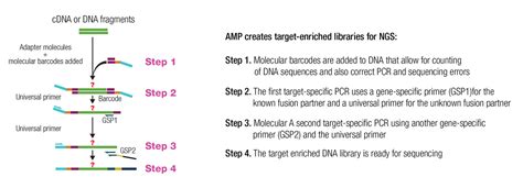 Multiplex Pcr