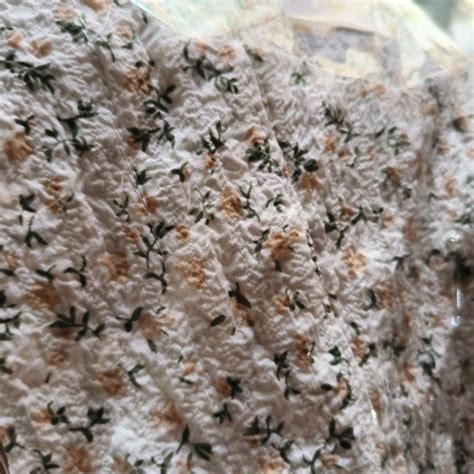 Jual Kebaya Hamil Lengan Kupu Kupu Shopee Indonesia