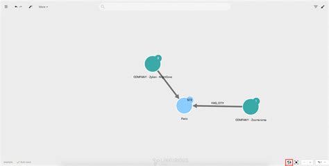 Geography Display A Geographic Map Linkurious User Manual