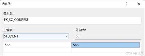【sql server】华中农业大学空间数据库实验报告 实验四 完整性约束 csdn博客