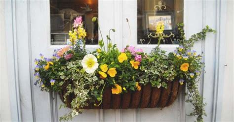 8 Tips To Make Your Window Box Flourish And 11 Ideas To Inspire You