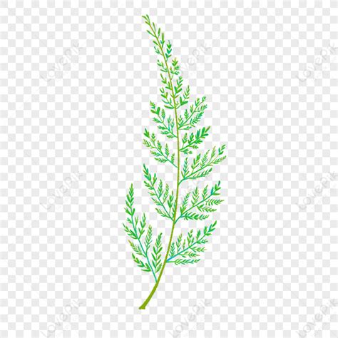 펀 클립 아트 녹색 식물 일러스트 잎 그림과학 기술초록 Png 일러스트 무료 다운로드 Lovepik