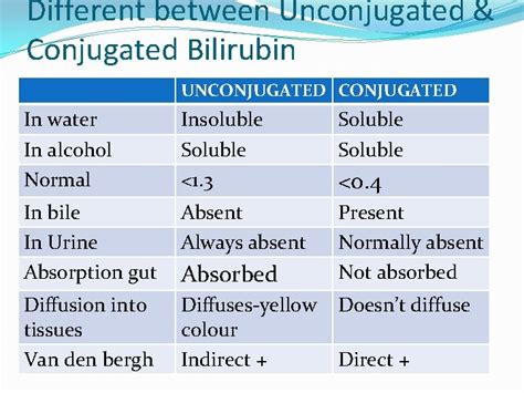 Function Of Liver 1 Metabolic Functions Urea Cycle