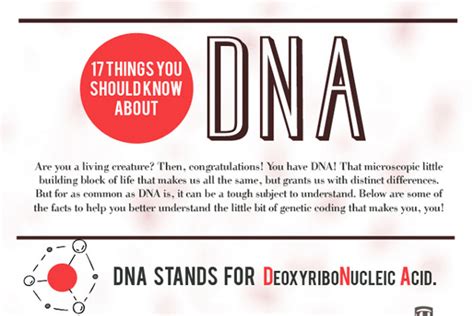 22 Good Birthday Wishes To Nephews