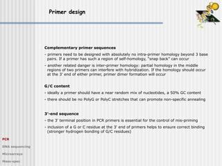 Primerdesignisscarybutthisisbetterthanthattrustme PPT