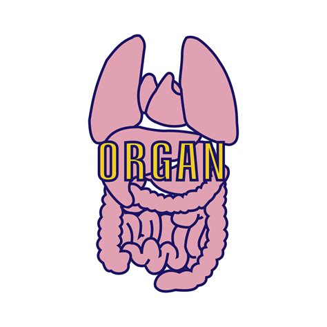Organ