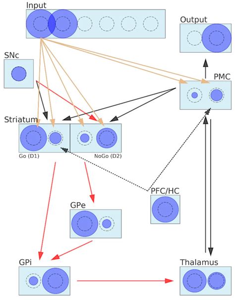 brain sciences free full text coarse grained neural network model