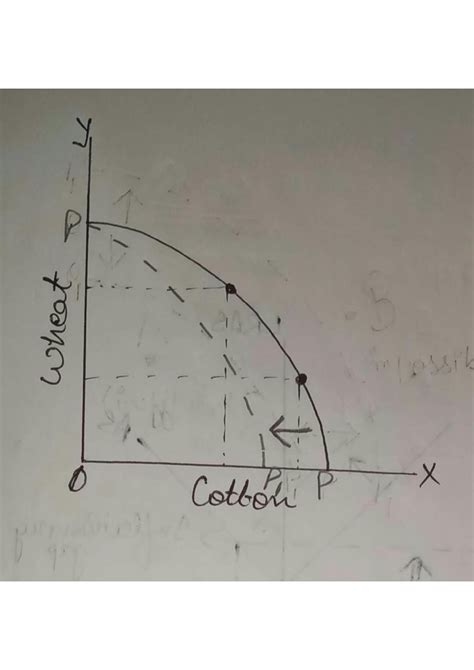 SOLUTION Micro Economics Hand Drawn Graphs Studypool