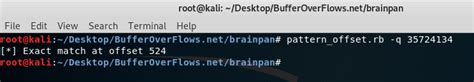 Vulnhub BrainPan 1 Solving Buffer Overflows