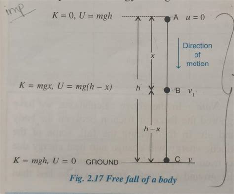 Draw X T Graph For Free Fall At Robin Gloria Blog