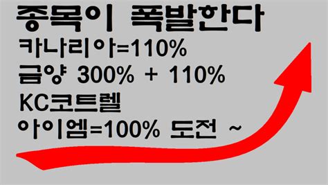 금양 300110~~~ 투자전략 투자정보 전문가방송 팍스넷 증권포털