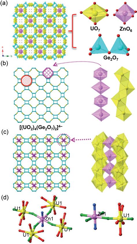 a polyhedral representation of the structure of uzg 1 projecting