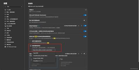 关于浏览器打开网页转圈，修改本机ipv4中的dns服务器地址无果 浏览器使用 ipv4 的 dns csdn博客