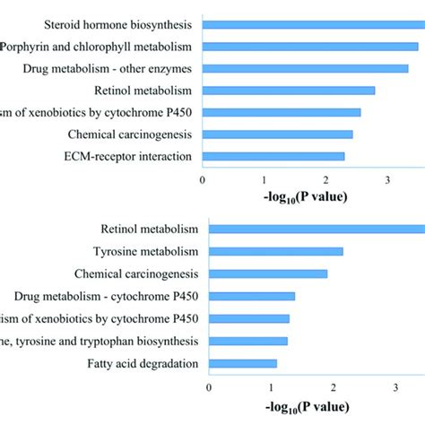 Pathways Enriched In Epithelioid Malignant Plural Mesothelioma