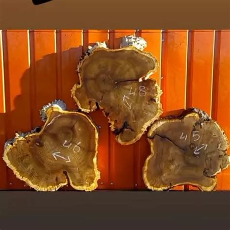 خرید و قیمت اسلایس تمام جوش سنجد از غرفه چوب سیاه