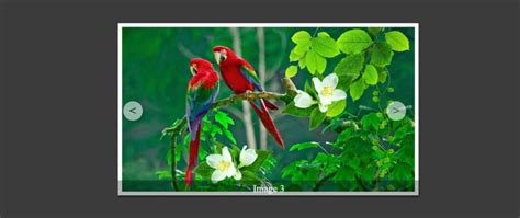 Image Slider Using HTML CSS And JavaScript DEV Community