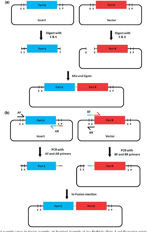 Figure 1 From In Fusion Biobrick Assembly And Re Engineering Semantic