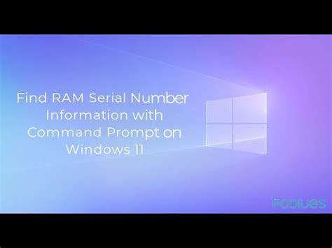 Find Ram Serial Number Information With Command Prompt On Windows 11 Artofit