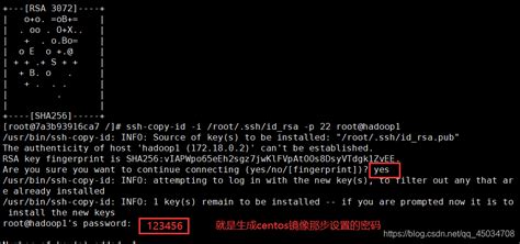使用docker部署hadoop集群 手把手复现 docker部署hadooo集群 csdn博客