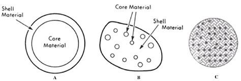 Morphology Of Microcapsules A Mononuclear Or Continuous Coreshell