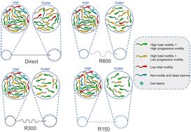 Development Of A Novel Cervix Inspired Tortuous Microfluidic System For Efficient High Quality