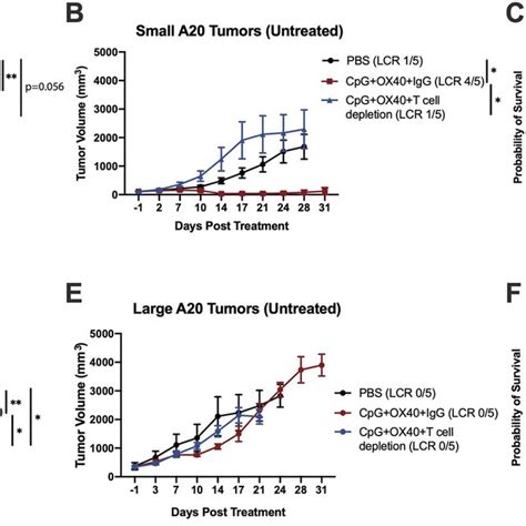 Structure Of Mesyl Phosphoramidate µ Modification And Sequences Of