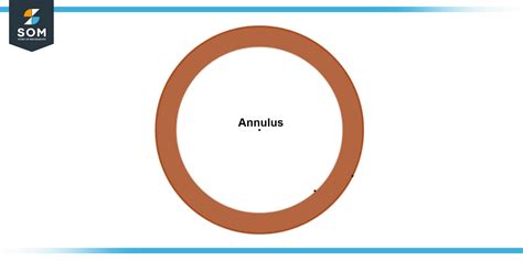 understanding annulus in geometry a comprehensive guide