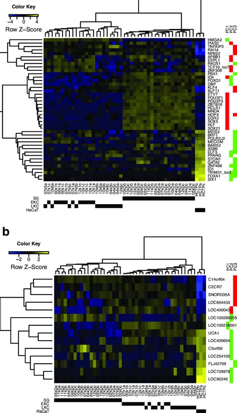 hierarchical clustering of expression profiles of high loading loci