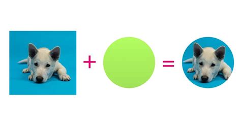 How To Create A Clipping Mask In Corel Vector Corel Discovery Center