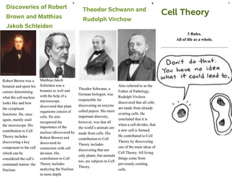 Master The Quest Cell Theory Brochure