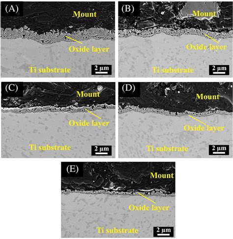 Representative Anodized Layer Cross‐sectional Views For An‐control A
